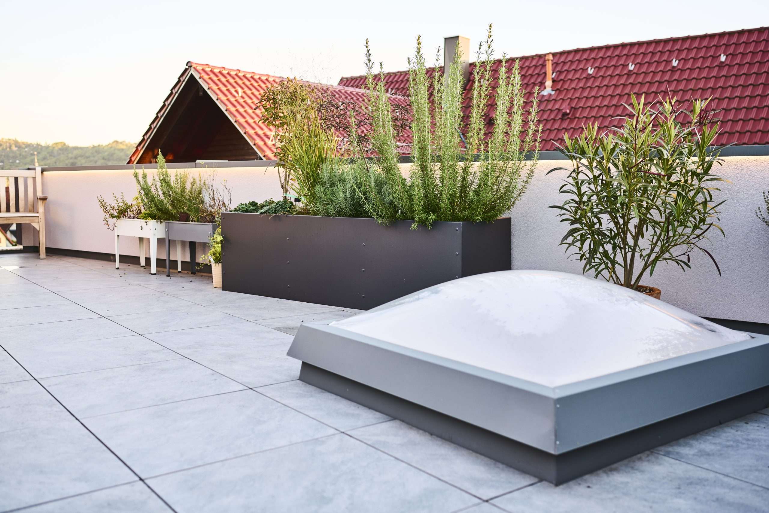 Dachgarten Fabian Mack Gartengestaltung Dachgarten Fabian Mack Gartengestaltung